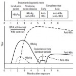 Hepatitis B virus (HBV) – Medchrome