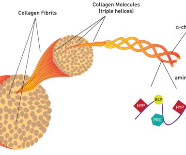How does collagen formation help in eczema scar prevention? | Medchrome